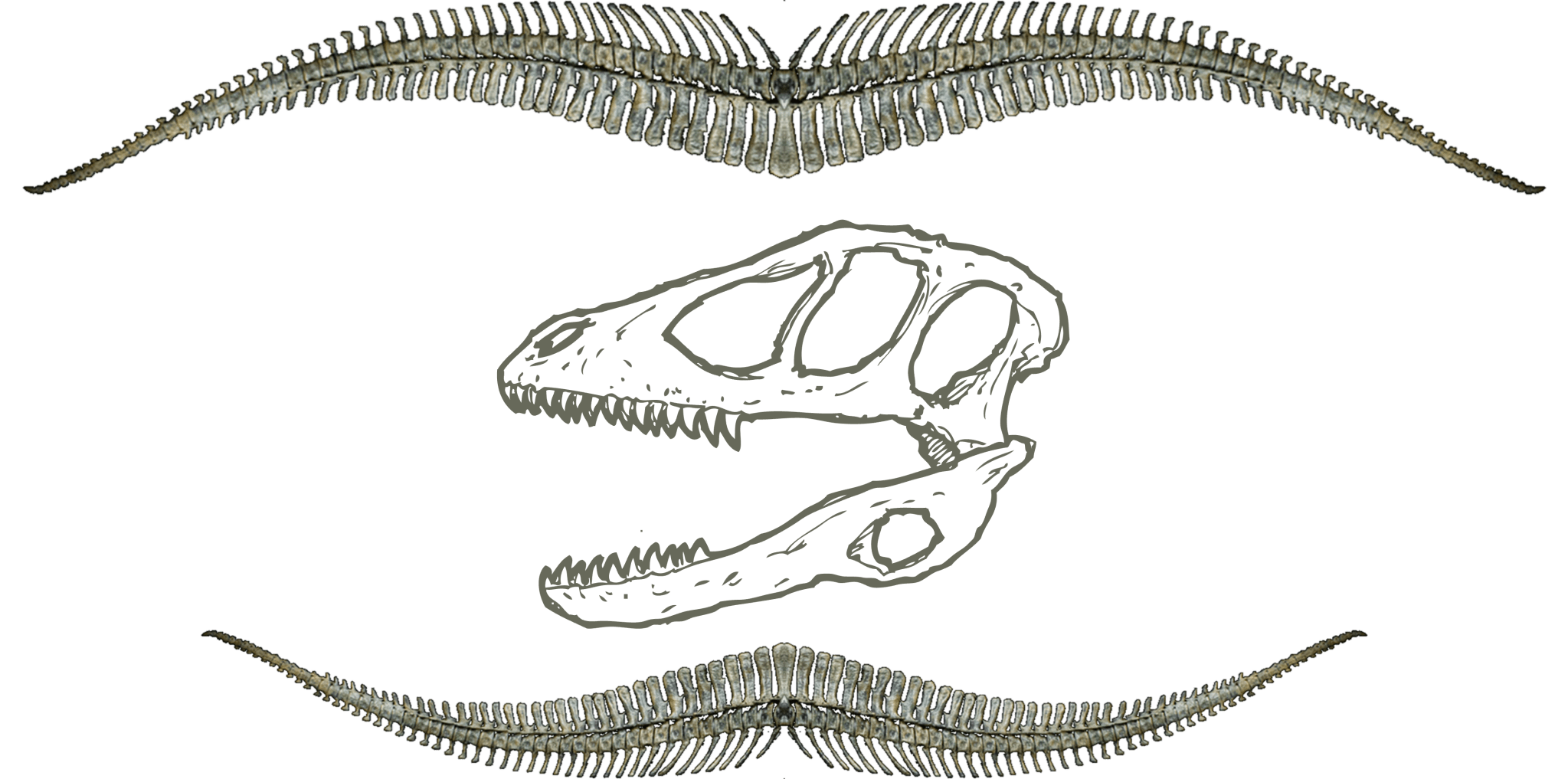 Lokiceratops – Mesozoic Memoirs