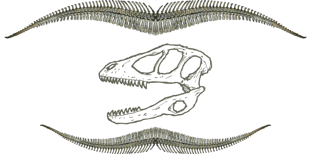 Lokiceratops – Mesozoic Memoirs